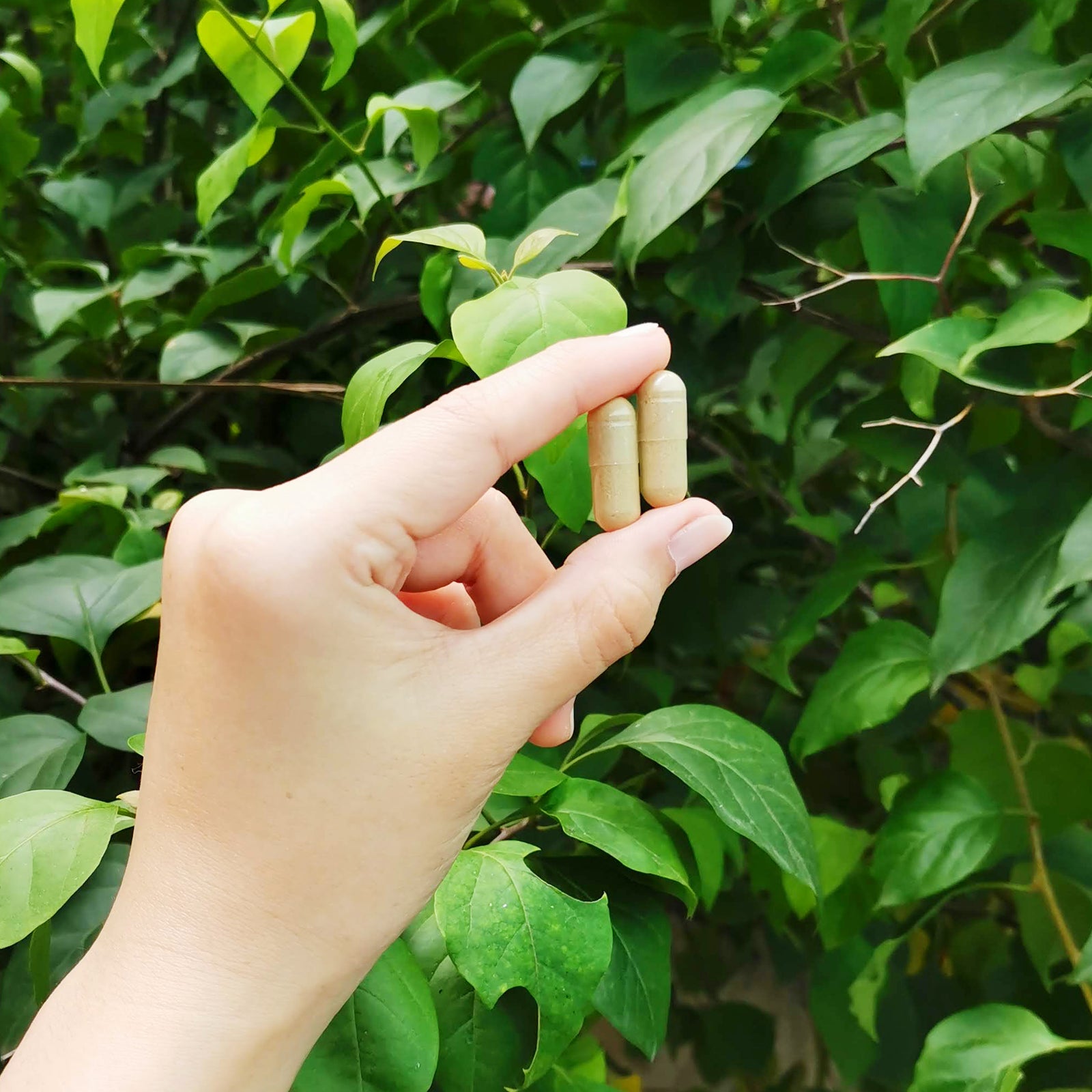 Fibro Defense (60 Caps)